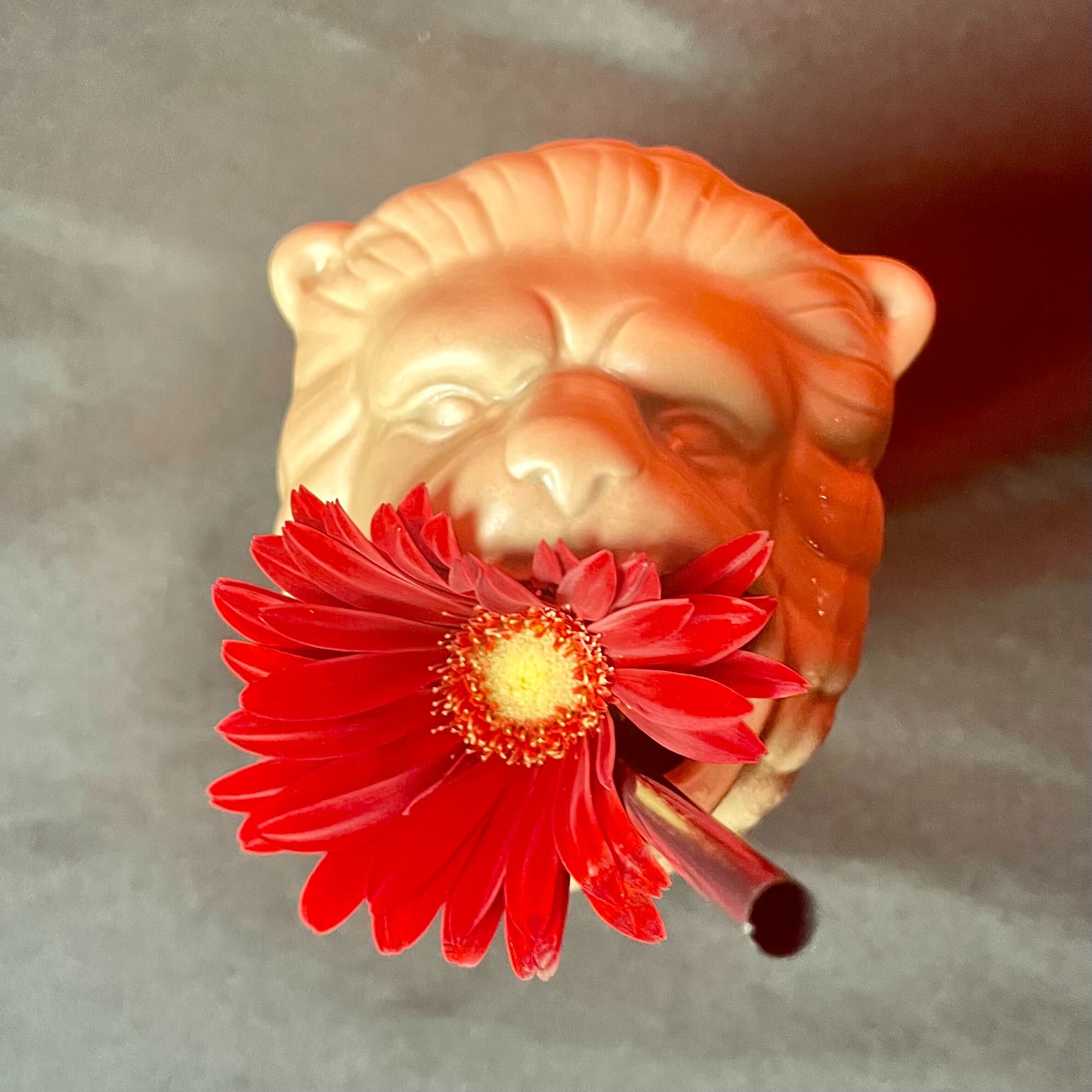 Bellwether | Toledo Spirits Co.